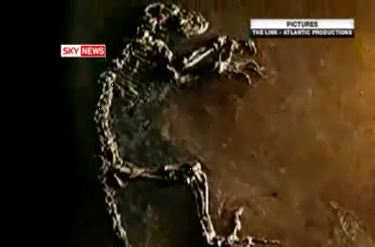 47-million-year-old fossil discovered.