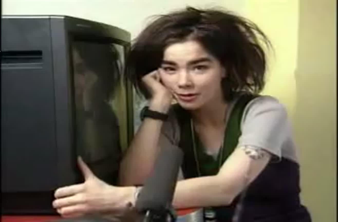 Bjork takes apart her TV.
