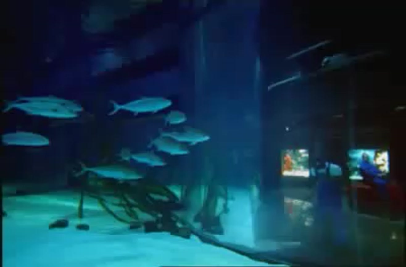 Funny Yellow Pages commercial.