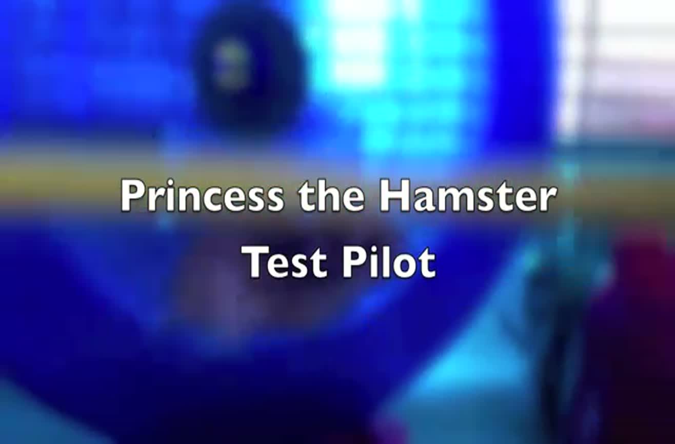 Hamster powered walker.