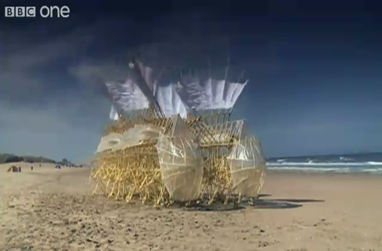 Man creates kinetic sculpture that moves and lives on its own.