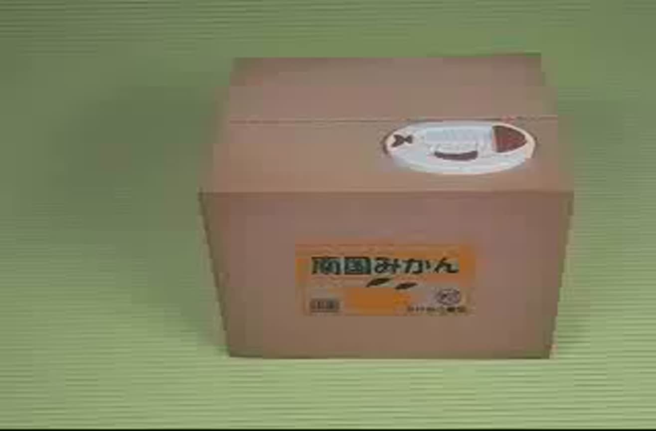 Japanese money box.