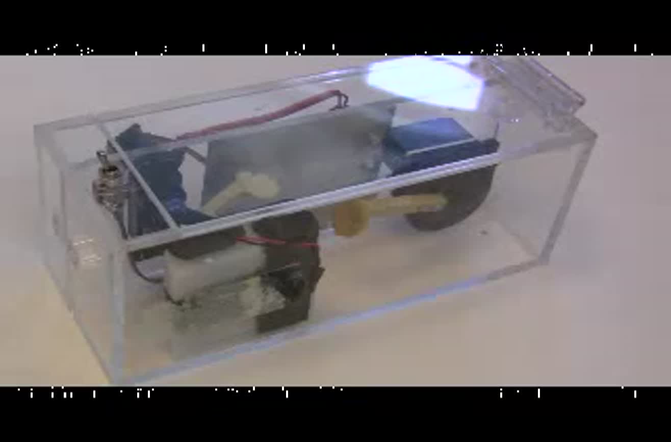 Most Useless Machine Ever 