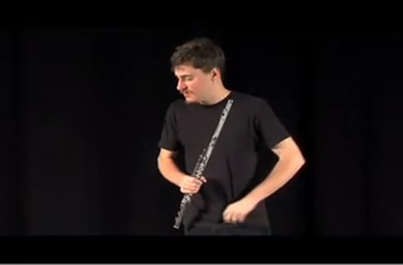 Amazing beatboxing flautist.