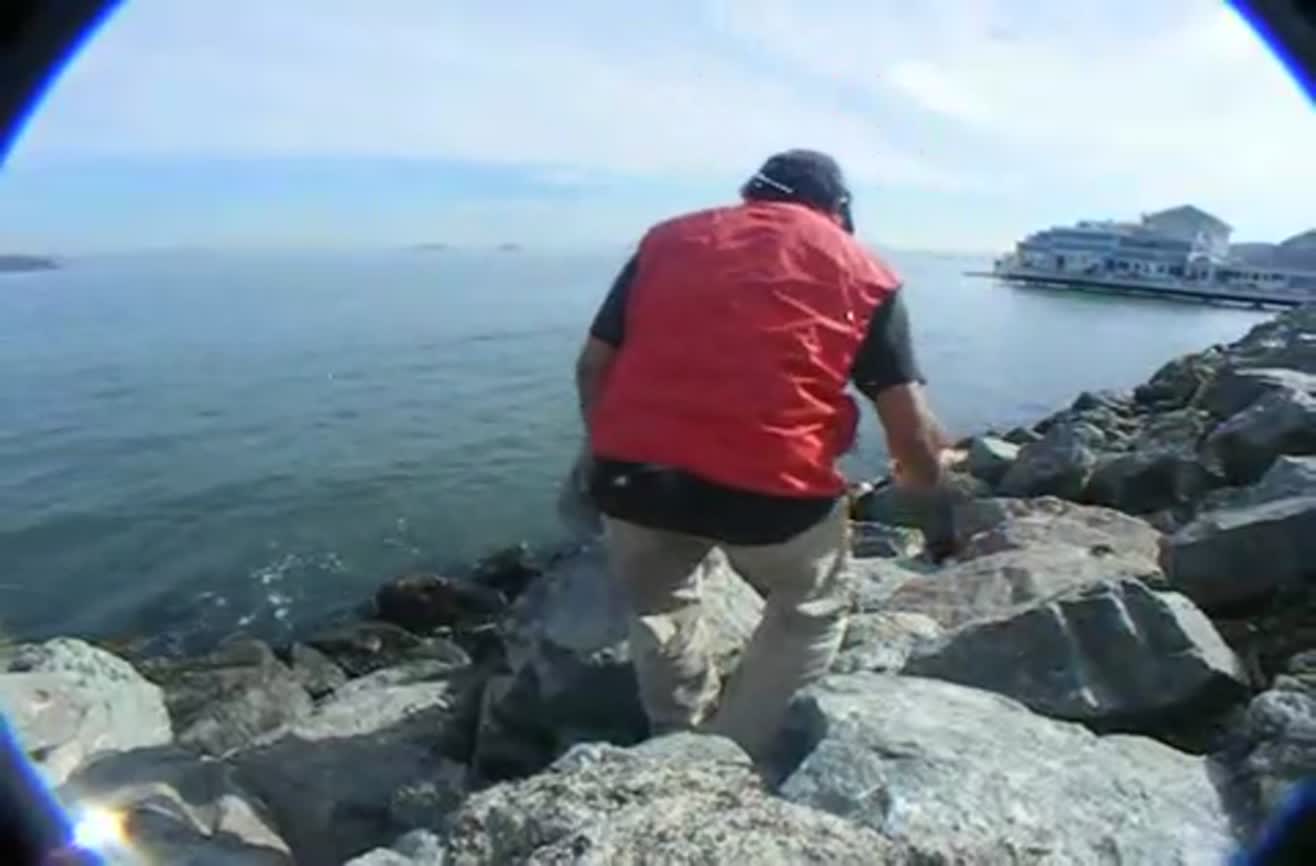 Man turns rocks into amazing art.