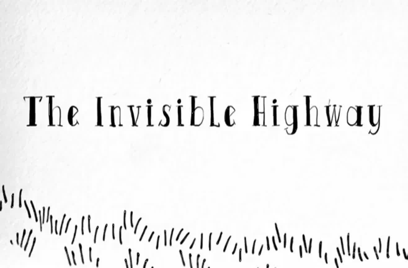 The billion-bug highway you can't see.