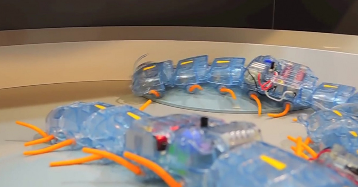 Check out this creepy, crawly, robot centipede toy.