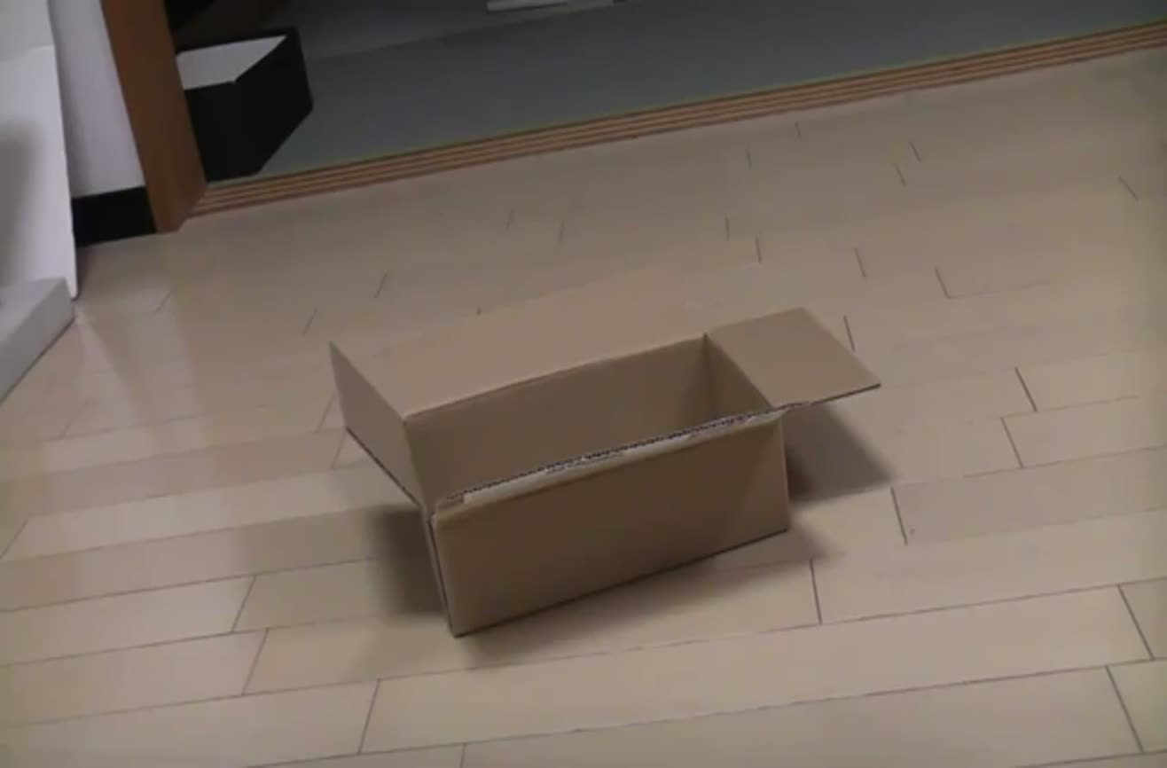 This box is too small for this cat.
