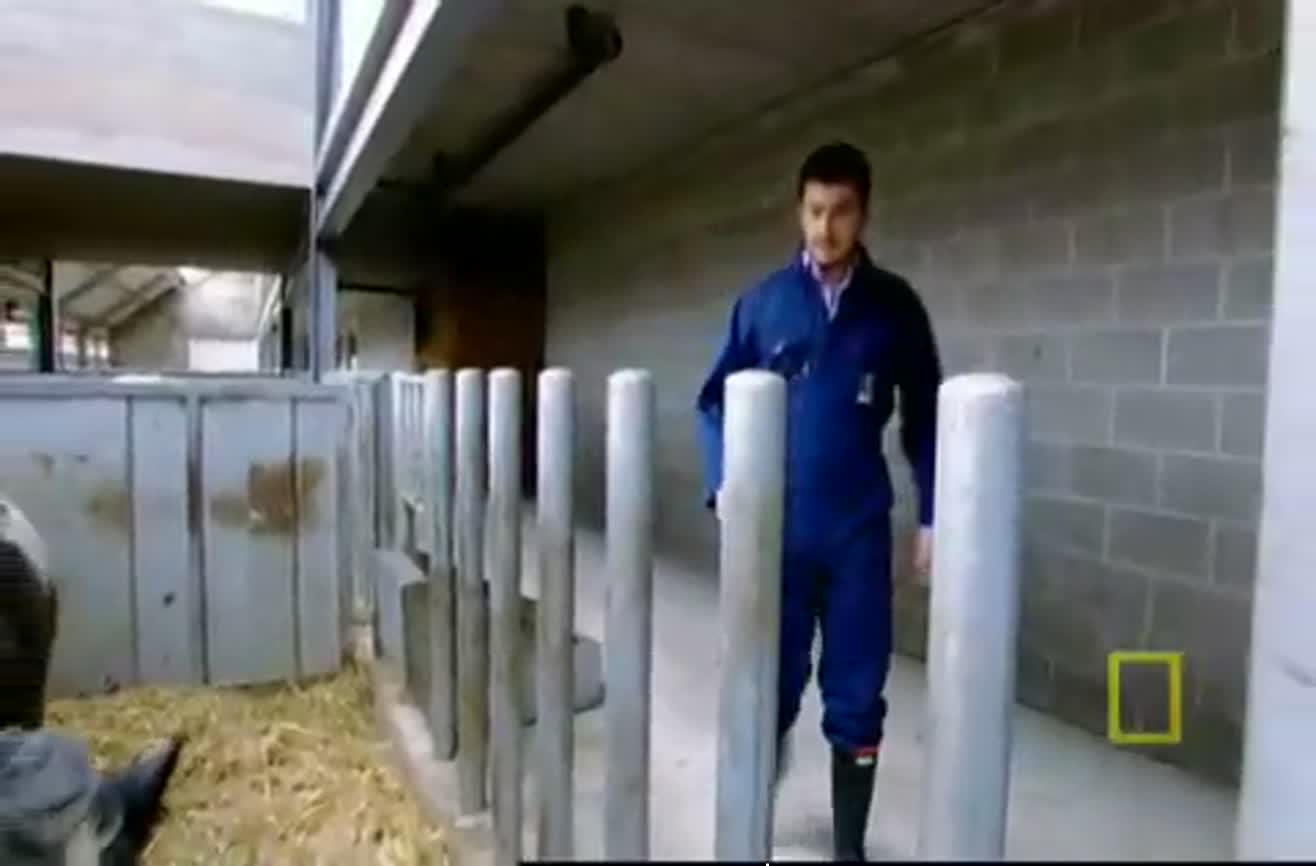 How man uses science to control nature.