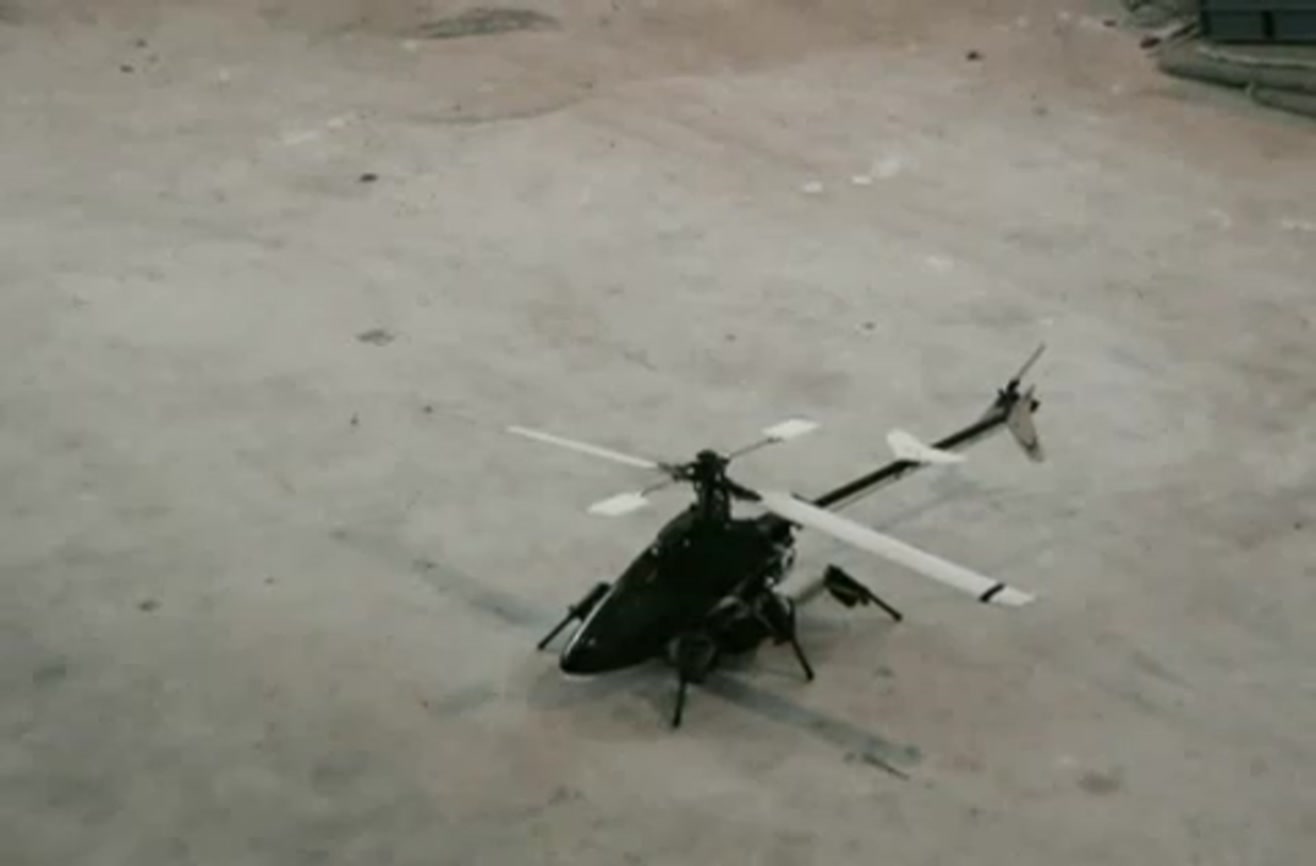 Insect helicopter hybrid: We wish we had this as a kid.