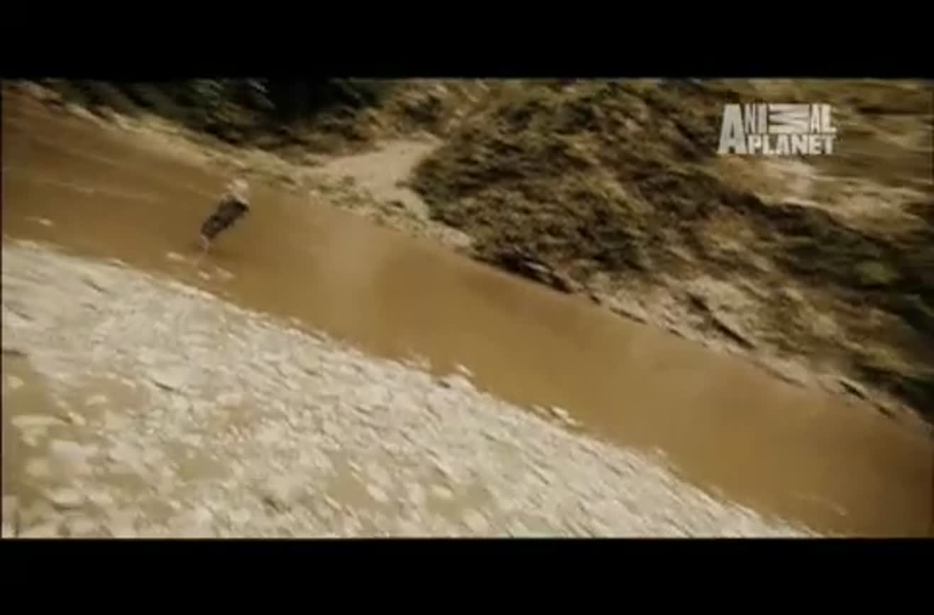 Man-sized fish caught.