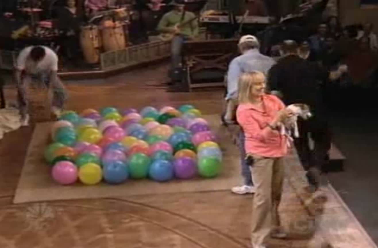 Dog attempts to pop balloons in under 30 seconds.