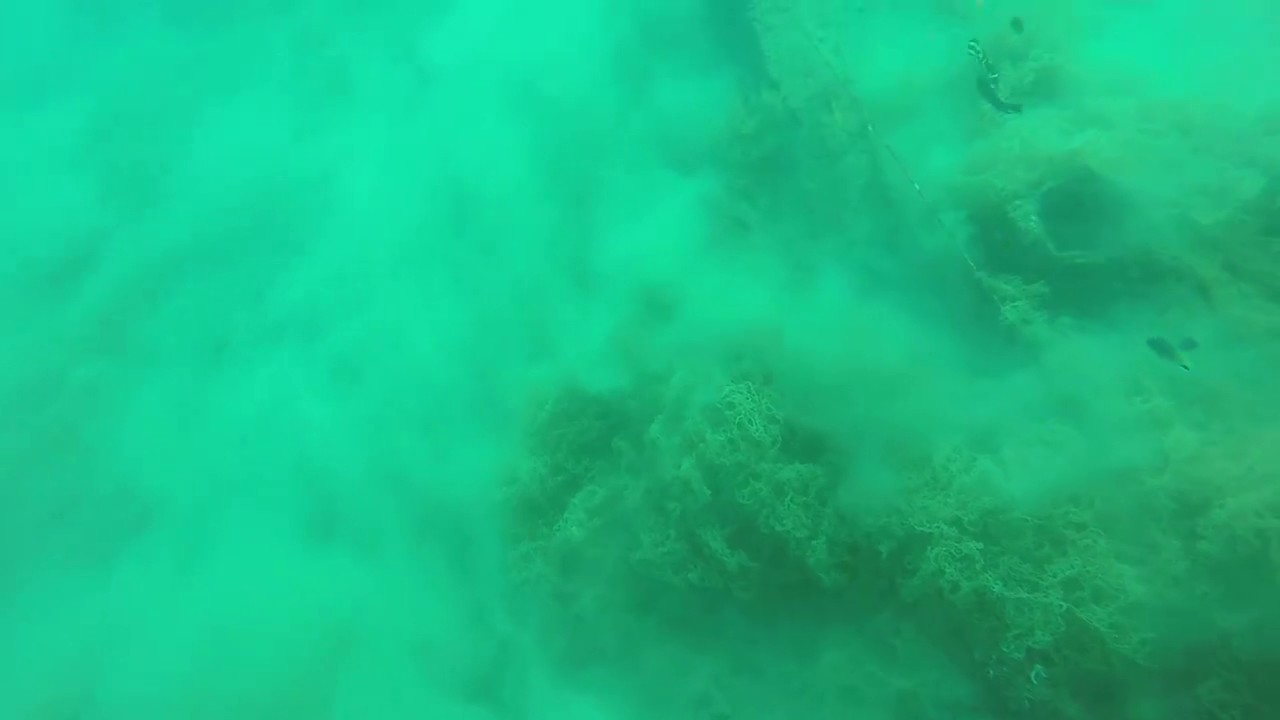 How gigantic earthquake looks from under the sea.