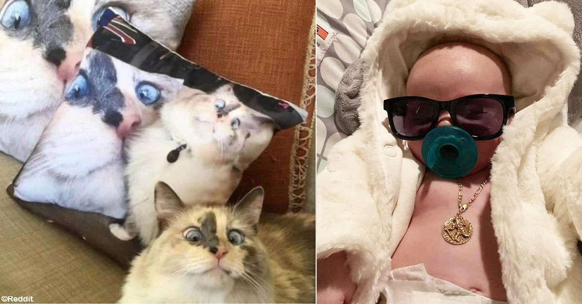 20 Random, Funny Pictures to Make You Laugh