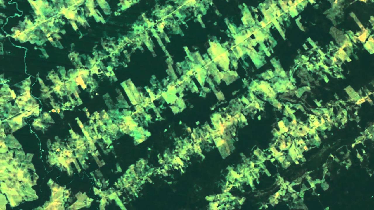 Disturbing time-lapse video of 13 years of Amazon deforestation