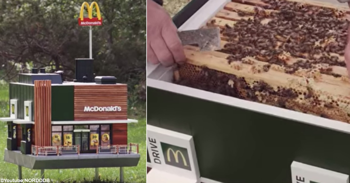 The World's Smallest McDonald's Is Now Open, but It's Only for Bees
