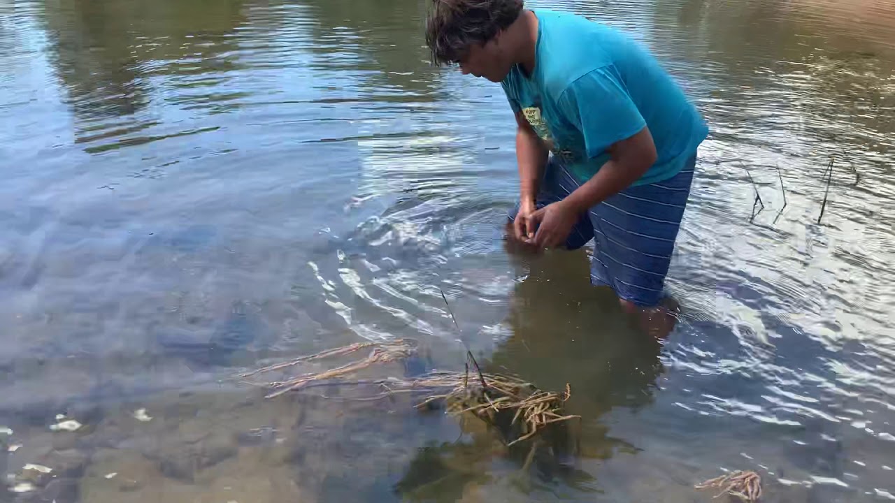 Man Catches A Crocodile Using His Bare Hands