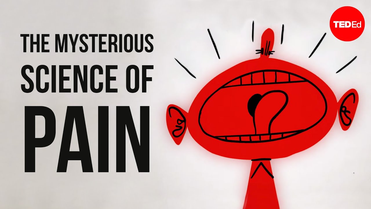 The science behind how we experience pain