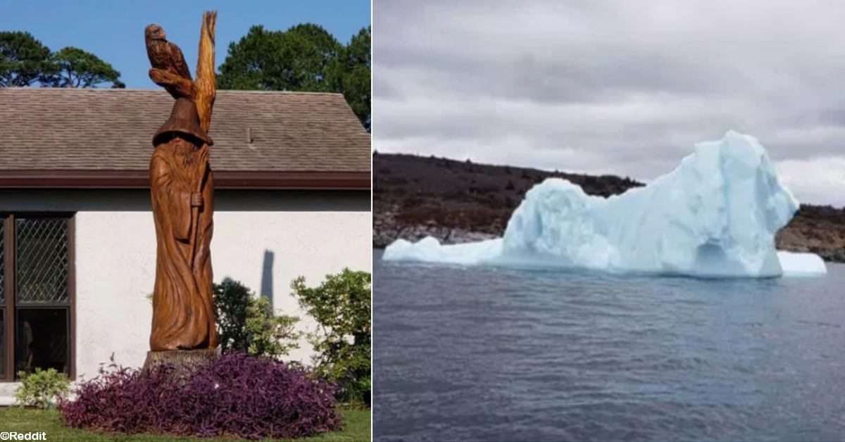 15 Random Photos That Are Totally Awesome