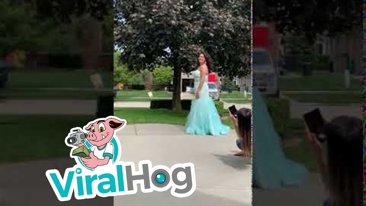 Best dad goes to extreme to make perfect prom photo