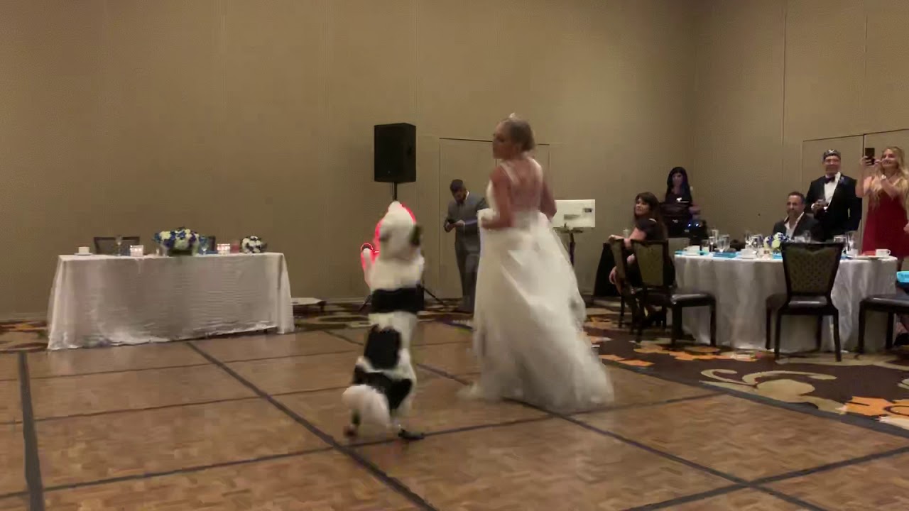 Bride dances with her Best Dog.