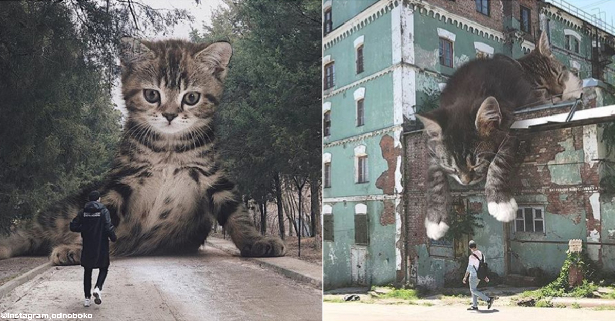 This Guy Creates Photos of How the Earth Would Look If Cats Were Giants