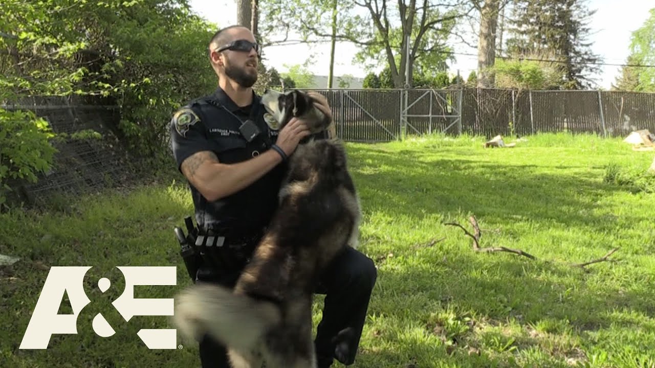 Cop rescues dog then adopts it