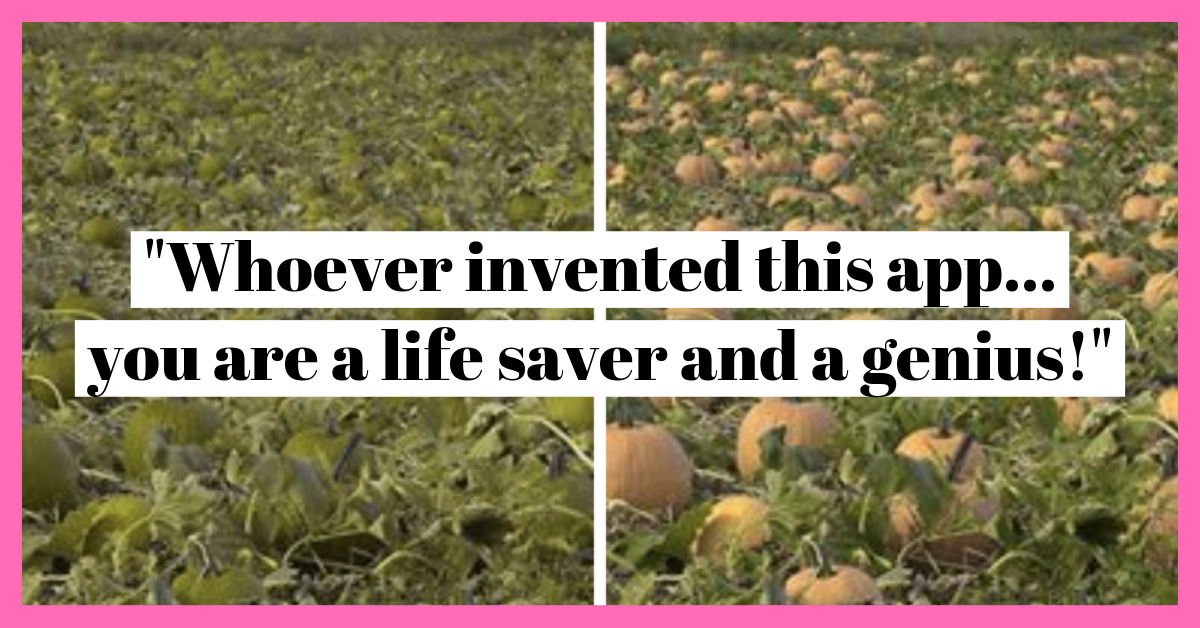 This Man Creates First Ever Colorblindness App to Help People Cope and ...