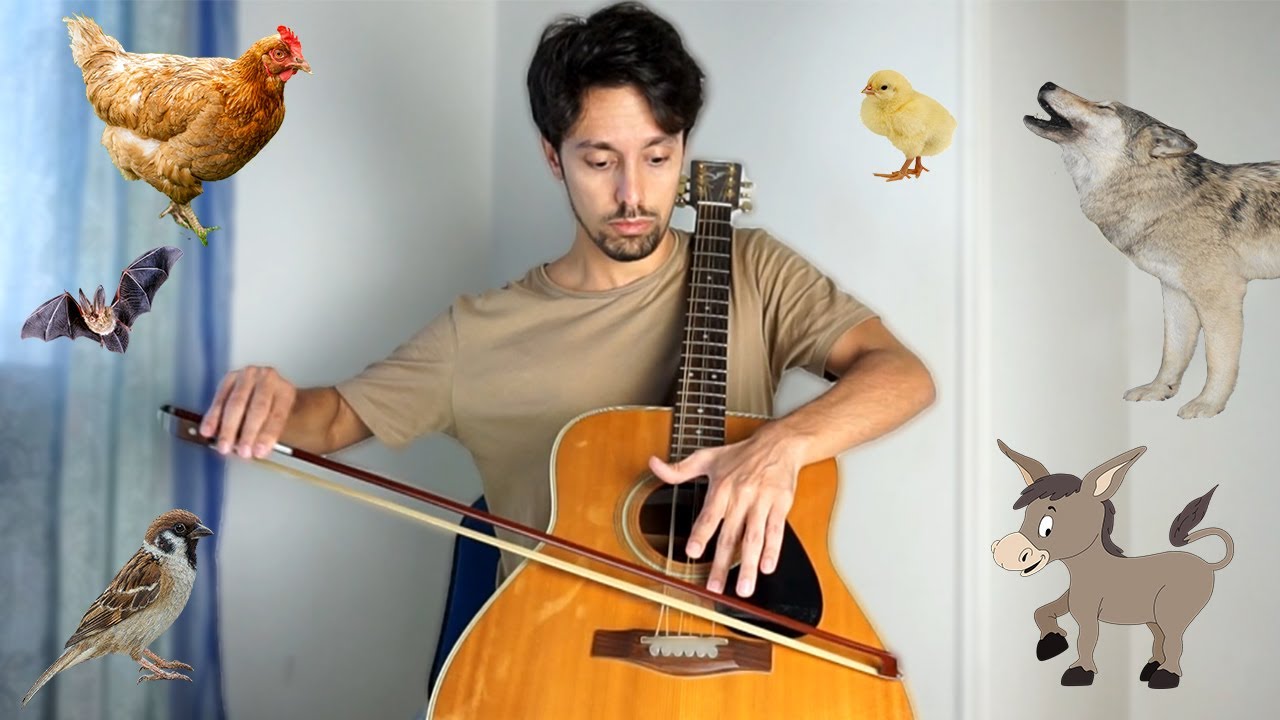 Acoustic guitar making animal sounds