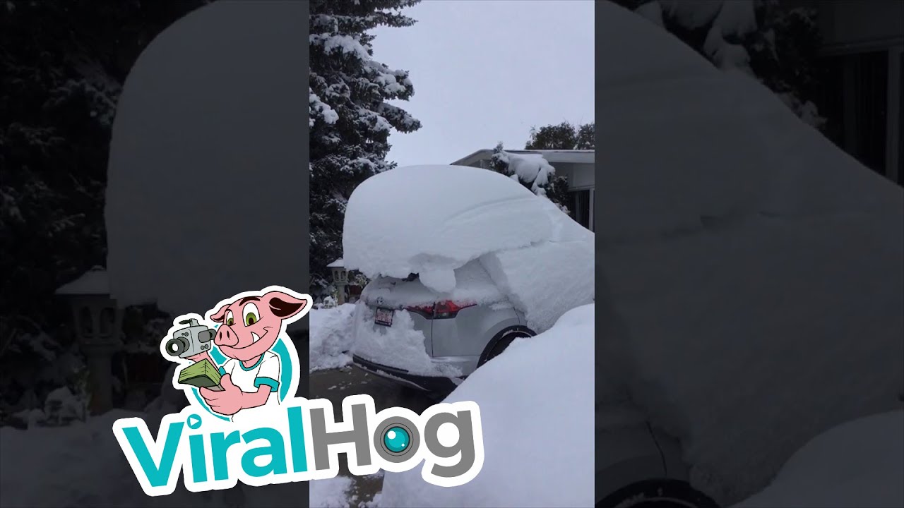 Driver uses physics to send snow flying off car