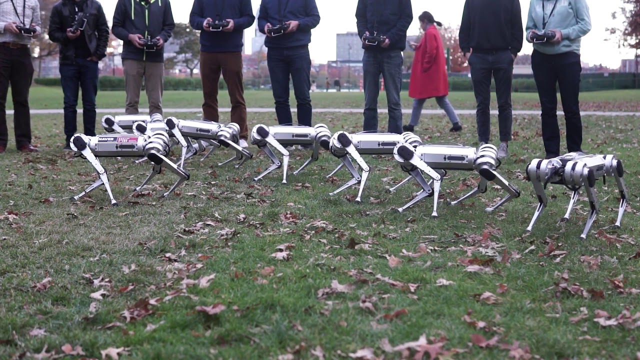 Testing the many tricks of "Cheetah" robots
