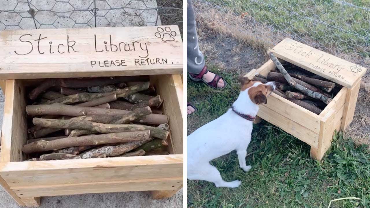 Man creates sweet "stick library" for dog park.