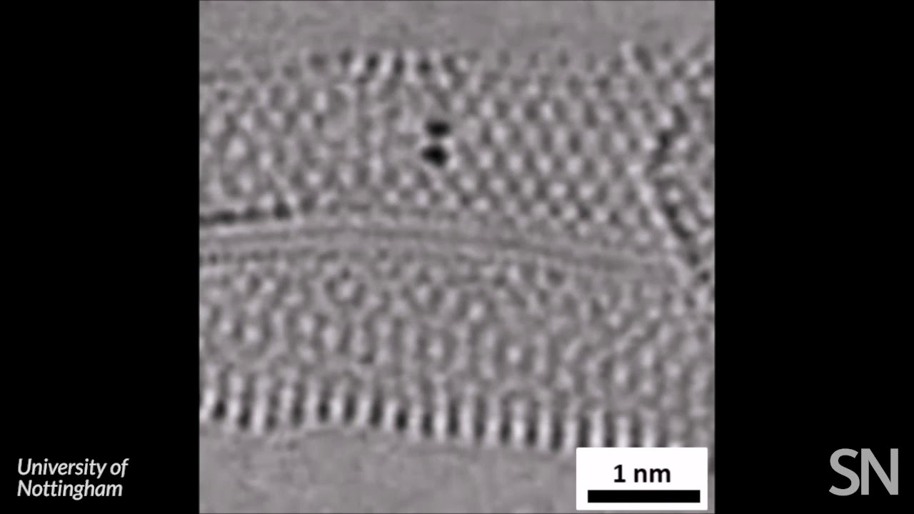 Video of atoms forming and breaking