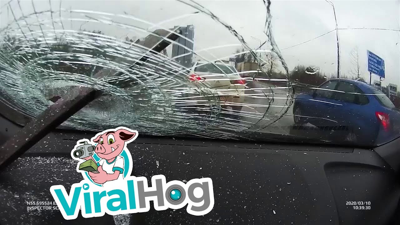 Pipe launched from highway into windshield.