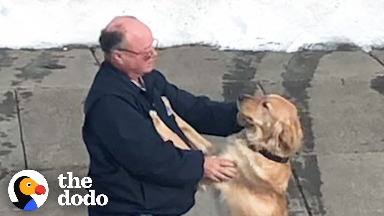 Dog and mail carrier have the most heartwarming relationship Dog and mail carrier have the most heartwarming relationship