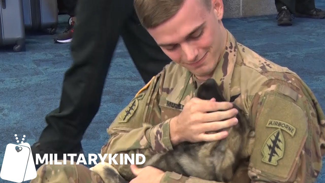 Soldier back with puppy he met overseas.
