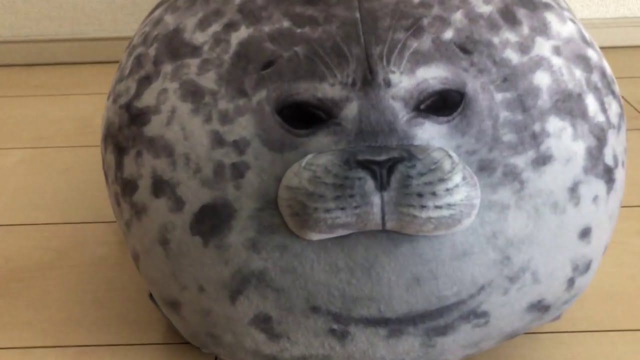 When you can't afford a real seal