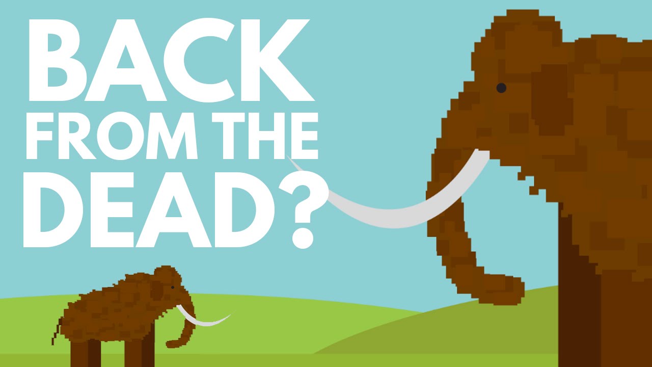 Should we bring back extinct animals?