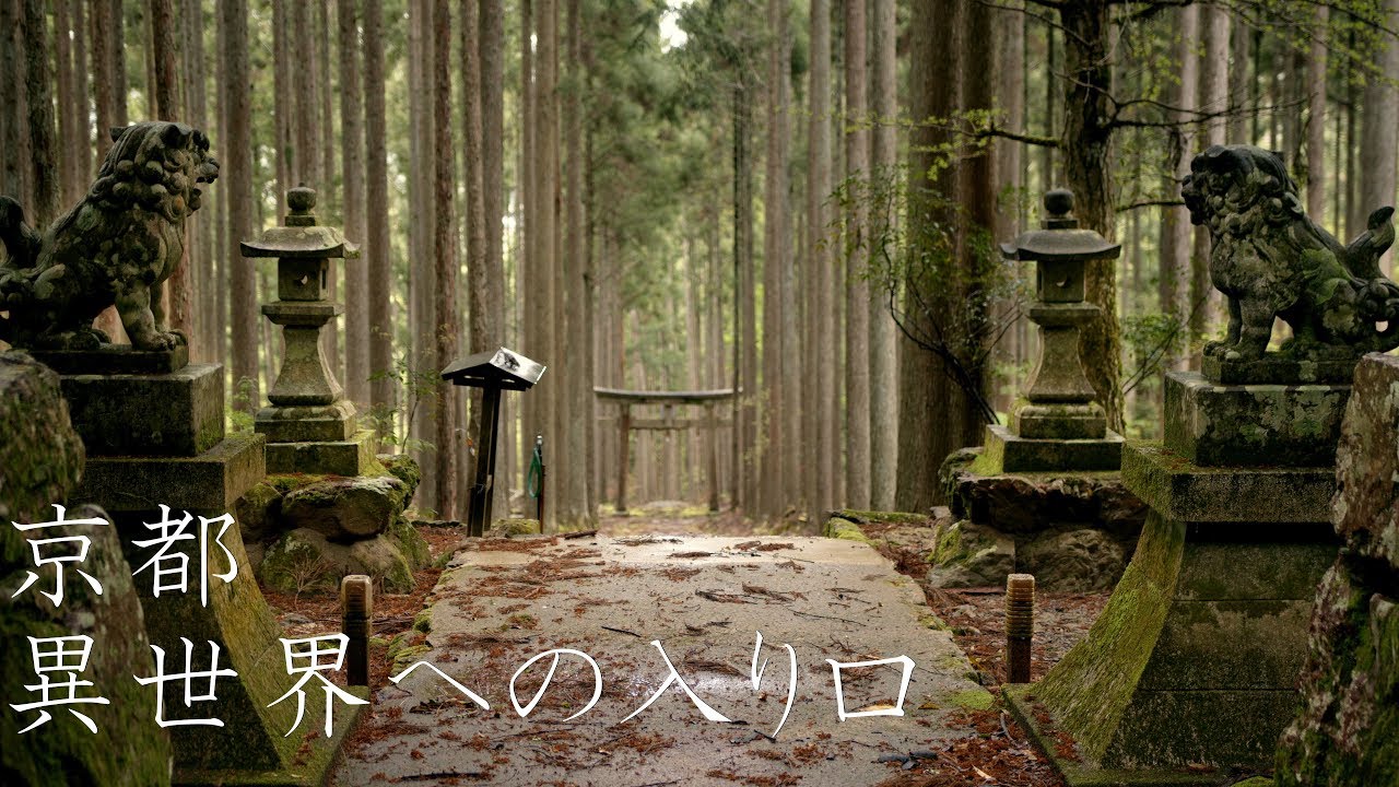 A stunning secret spot in Kyoto, Japan