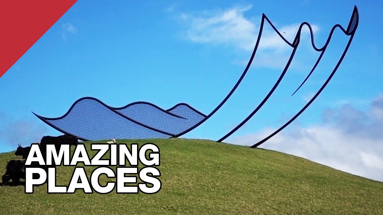 A real life cartoon.