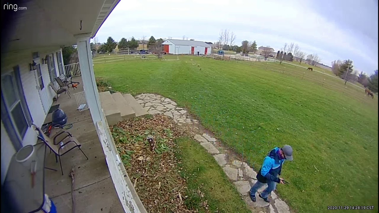 Mad hens chase Amazon driver.