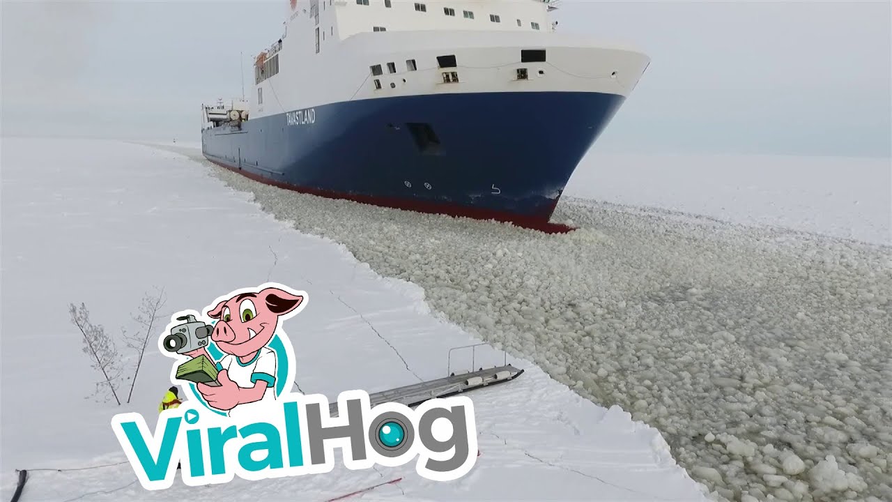 Pilot perfectly steps onto moving ship.