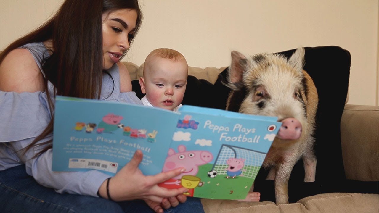 Toddler's real-life "Peppa Pig" best friend.
