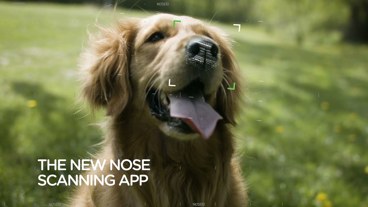 Dog nose print app reunites lost pets with owners.