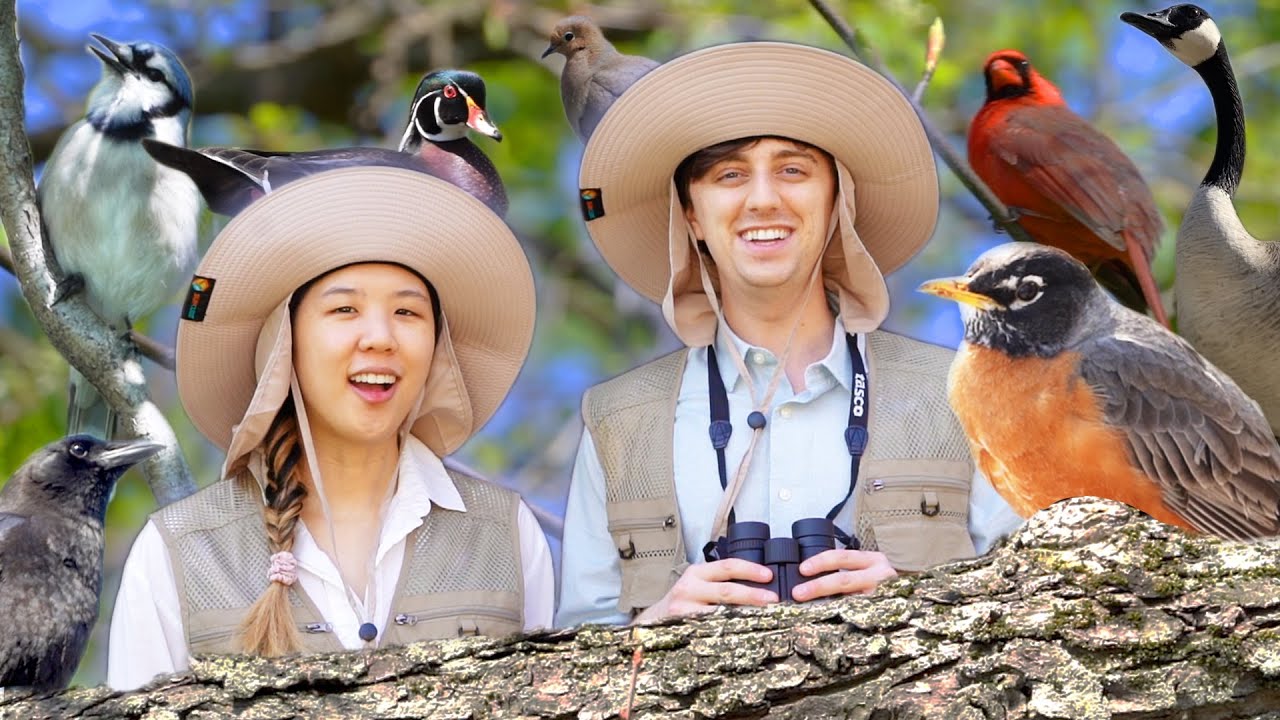 Wholesome little ditty, 'We Like Birds.'