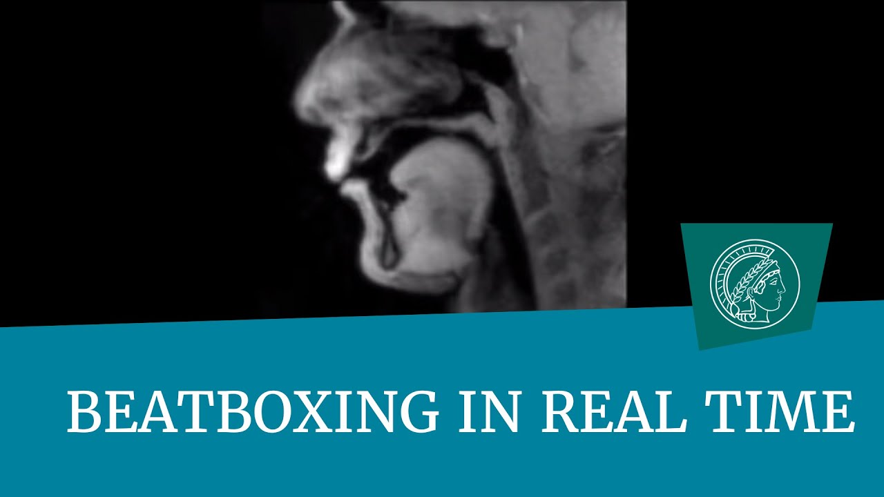 MRI scan of beatboxing in real time.