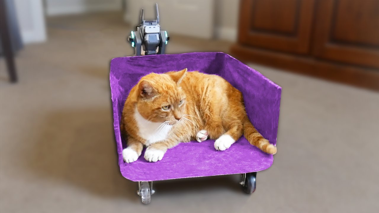 Eccentric man makes a train for his elderly cat
