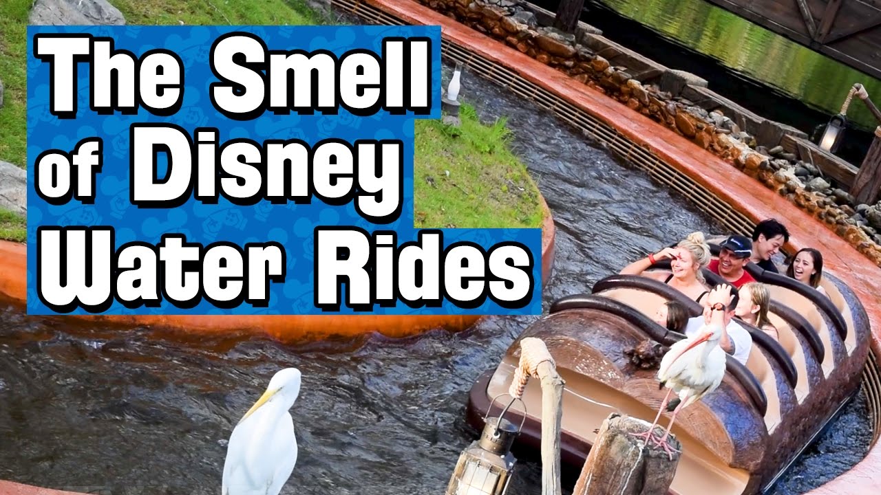 Does the water on Disney rides really smell different?