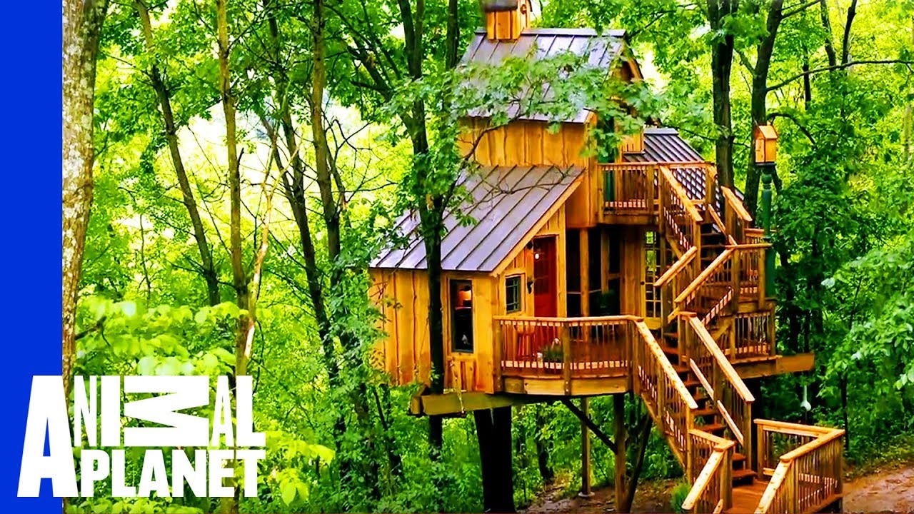 This cozy treehouse is modeled after a bird house