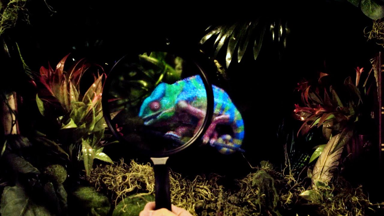 Actual real holograms are finally here.